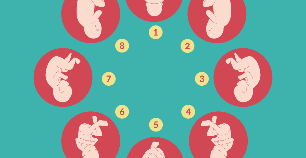 Položaji djeteta u maternici prije rođenja | RODA